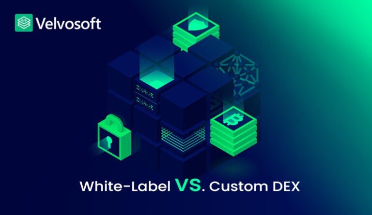 White‑label vs Custom DEX: Which Is Right for You?